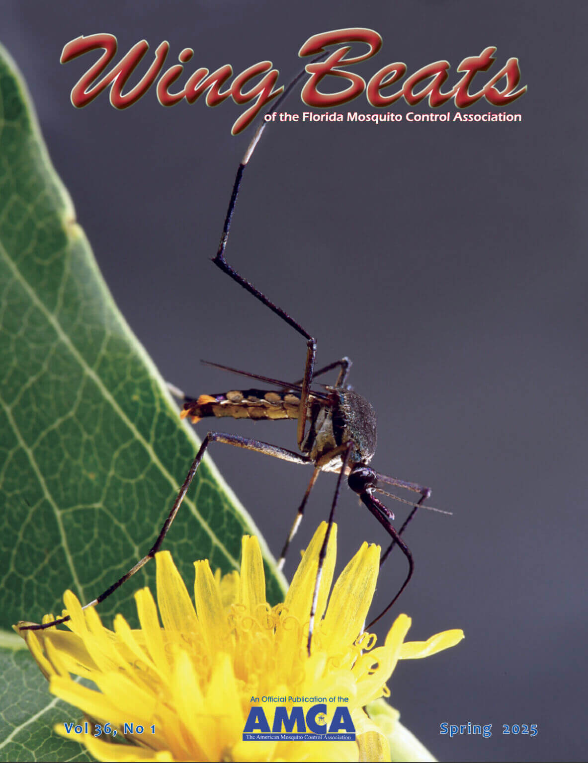Wing Beats - American Mosquito Control Association